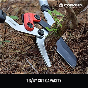 Corona Tools | Branch Cutter DualLINK™ Extendable Bypass Loppers | Tree Trimmer Cuts Branches up to 1 ¾-inches in Diameter | Handles Extend up to 37 ½inches | SL 4364