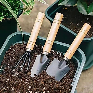 3Pcs Succulent Tools, This Tool Set is Especially Suitable for Office Gardening, Desktop Gardening and Indoor Bonsai,It Helps You All Kinds of Small Potted Plants，Meets Your Gardening Needs