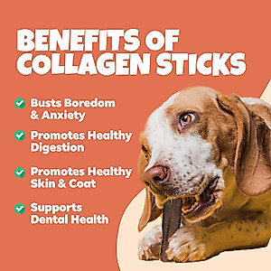 Benefit Pet Products Collagen Sticks for Dogs - Single Ingredient Dog Treat, Rawhide Free, Collagen Chews for Dogs, Long Lasting Dog Chew, Alternative to Bully Sticks (6 inch, 5 Sticks)
