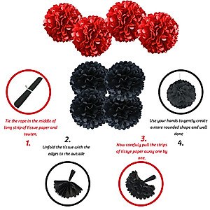 ZERODECO Birthday Decorations, Black and Red Birthday Party Decorations Happy Birthday Banner Pompoms Balloon for Boys Girls Men Women Birthday Party Decorations Supplies