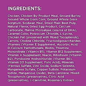 IAMS Healthy Aging Adult Dry Dog Food for Mature and Senior Dogs with Real Chicken, 29.1 lb. Bag