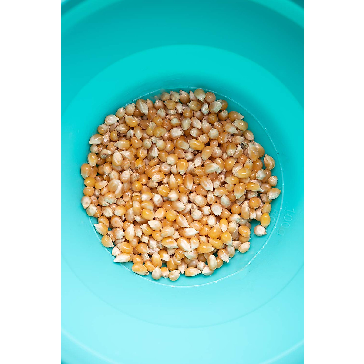 Amish Country Popcorn | Old Fashioned Microwave Popcorn | 10 Bags Ladyfinger Butter | Non-GMO, Gluten Free, Microwaveable and Kosher (10 Bags)