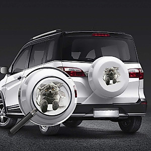 Animals Cute Cat Wall Sticker Living Room Bedroom Decoration Animal Wall Stickers Bathroom/Toilet/Refrigerator/Car/Nursery Room/PVC/Kitchen 3D Wall Decals