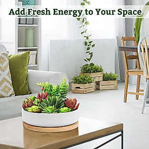 ZOUTOG Succulent Pots, 6 inch White Ceramic Flower Planter Pot with Bamboo Tray, Pack of 2 - Plants Not Included