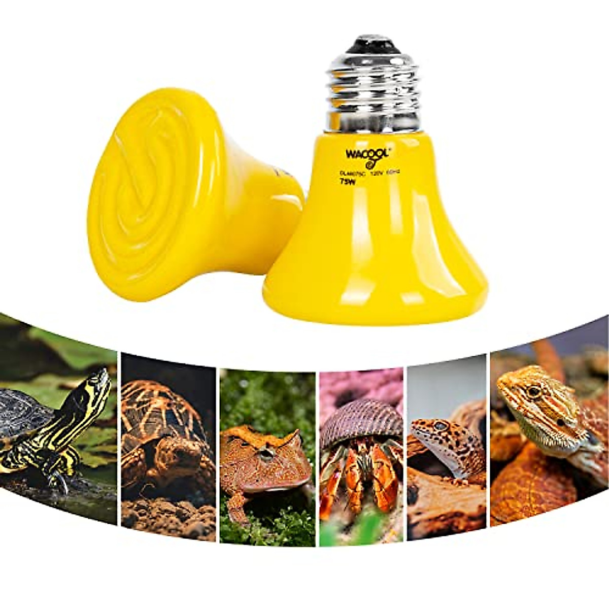 WACOOL Ceramic Heat lamp Bulbs for Reptiles, Color Changing Reptile Heat Lamp 75W 2 Pack, Reptile Heat Light Bulb