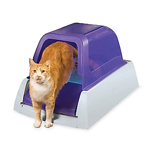PetSafe ScoopFree Ultra Self-Cleaning Cat Litter Box – Automatic with Disposable Tray – Purple Covered