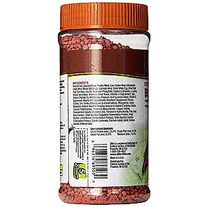 Zilla Bearded Dragon Extruded Food Pellets 6.5 Ounces
