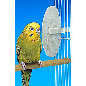 Penn-Plax Bird-Life Natural E Cuttlebones | Enriched with Omega 3 and Vitamin B1 | Great for All Birds | 2 cuttlebone Treats per Package