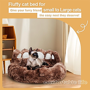 PETART Cute Dog Bed, Fluffy Cozy Bear Paw Shape Plush Round Cat Bed for Small, Medium Dogs & Large Cats,Comfortable Sleeping Puppy Cushion, Ideal for Indoor Use（Black&Coffee,18inch