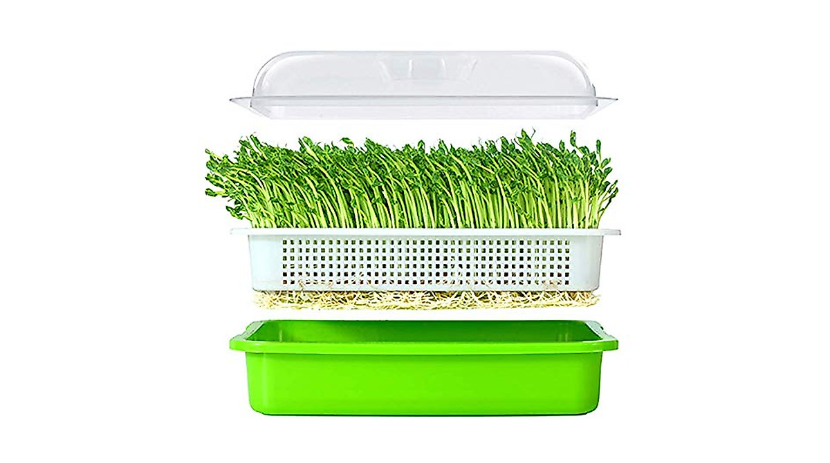 BPA-Free Hydroponic Microgreen Seed Sprouter Kit