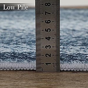 COZYLOOM Braided Print Home Indoor Area Rug 4x6 Rug for Entryway Living Room Bedroom Kitchen Dining Farmhouse Retro Area Rug Non Slip Backing Low Pile Floor Cover Non-Shedding Accent Rug Blue