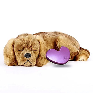 SZENSITE 2 Pcs Heartbeat Box Puppy Toy Heartbeat Simulator Soother Heartbeat for Pet Anxiety Relief Sleep Aid Calming Toys Cat Kitten Dog, Add to pet Toy Blankets Pillows Beds