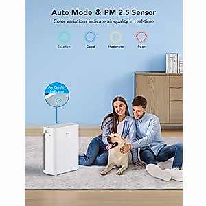 Govee Smart Air Purifiers for Pets, Wi-Fi Air Purifiers for Home Large Room Bedroom, H13 True HEPA Filter Cleaner with Washable Filter for Pet Hair, Odors, PM2.5 Sensor, Auto Mode