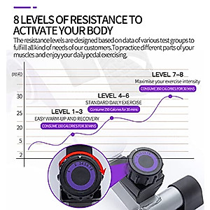 INSGYM Sitting Mini Exercise Bike - Recumbent Exercise Bikes for Home Steppers Exercise for Seniors While Sitting Under Desk Bike Exercise Equipment Hands Bike Pedal Exerciser IPE210 (Purple/White)