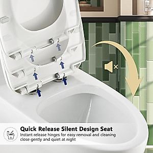 DeerValley DV-1F026R Elongated One Piece Toilet, Dual Flush 1.1/1.6 GPF Toilet with ADA Comfortable Seat Height, Powerful & Quiet Modern Standard Toilet for Bathroom, 10" Rough-In