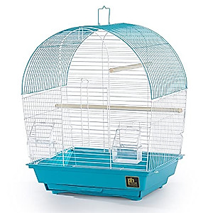 Prevue Pet Products South Beach Dome Top Bird Cage, Teal (SP50071),14 1/8" L x 11 1/4" W x 18 1/8" H