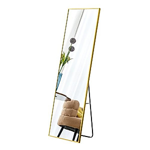 Wekity Aluminum Alloy Metal Frame Wall Mounted Full Body Mirror, Bathroom Makeup Mirror, Bedroom Entrance, Decorative Mirror (63"* 20")