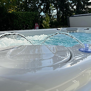 VVEMADE Hot Tub Mineral Ion Cartridge Filter Stick for Spas(1)