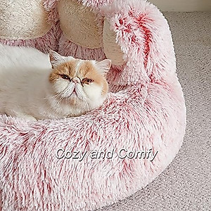 Jiupety Dog Bed with Standing Paws | Upgraded Soothing Paw Dog Bed | Cozy Comfy Dog Bed | Creative Dog Donut Bed with Bear Paws | Pink M Size 22”X22”X6”| Pet Paw Dog Bed for Dogs