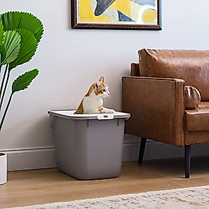IRIS USA Square Top Entry Cat Litter Box, Large Kitty Litter Tray with Litter Catching Lid Less Tracking Dog Proof and Privacy Walls, Gray/White
