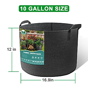 HYDGOOHO Plant Grow Bags 10 Gallons-5 Pack Multi-Purpose Nonwoven Fabric Pots with Durable Handles,Outdoor Garden Plant Pots for Vegetables Fruits Flowers Herb Succulent Bonsai Plants (Black)