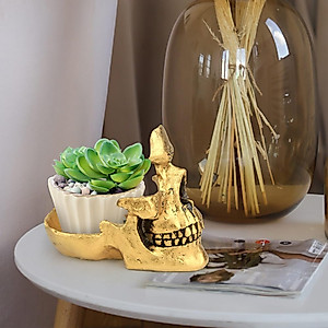 Mrlikale Skull Glasses Stand Holder, Creative Eyeglasses Holder, Sunglasses Spectacle Display Rack, Key Holder Resin Sculptures for Entryway, Home, Office, Desk, Nightstand (Gold)