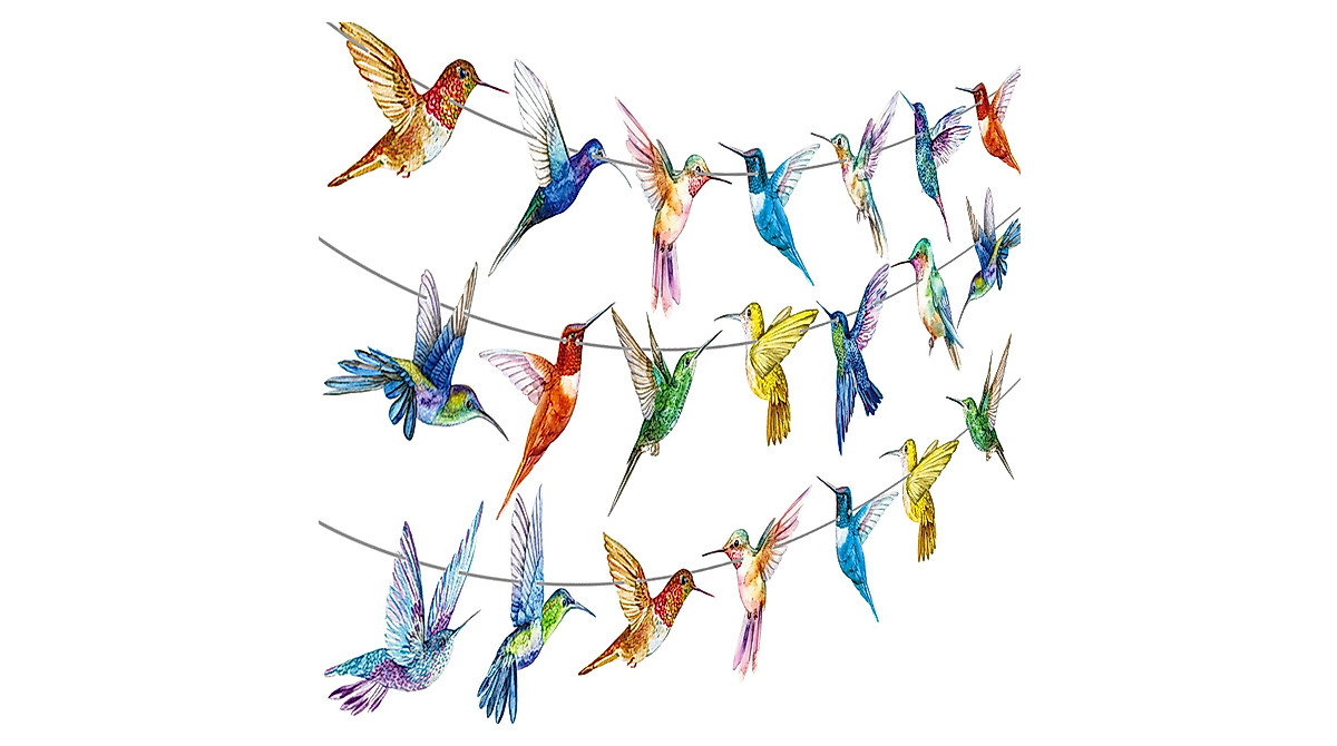 Hummingbird Party Banner | Fun Decorations for Events