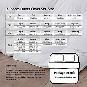 RIVINE Frederic Edwin Church Style Duvet Cover 3 Pieces Aurora Borealis Tablosu Soft Breathable Bedroom Bedding Set with 2 Pillow Shams Full