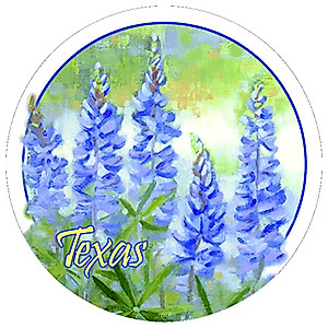 Thirstystone Stoneware Coaster Set, Bluebonnets - Texas