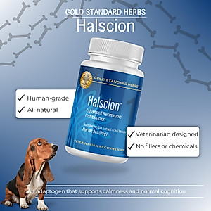 Halscion Cognitive Support and Stress Relief for Dogs by Gold Standard Herbs, All Natural Rehmannia Combination, 85 gram Powder, White