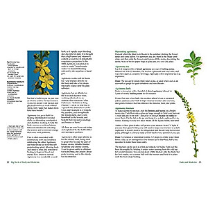 The Big Book of Backyard Medicine: The Ultimate Guide to Home-Grown Herbal Remedies