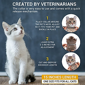 BUDOCI Pet Flea Collar Small Size Flea and Tick Prevention for Cats, 2 Pack Flea and Tick Collar for Cats, 38cm/15 inch, 8 Month Protection