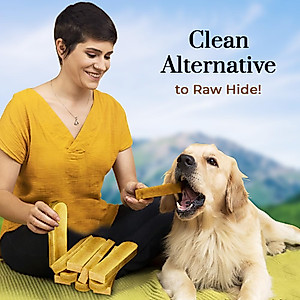 Dogsee Himalayan Dog Chews X-Large 10 Count | 100% Natural Yak Chews | Smoke Dried | Long Lasting Healthy Treats for Aggressive Chewers | Helps Fight Plaque & Tartar | SRP Box