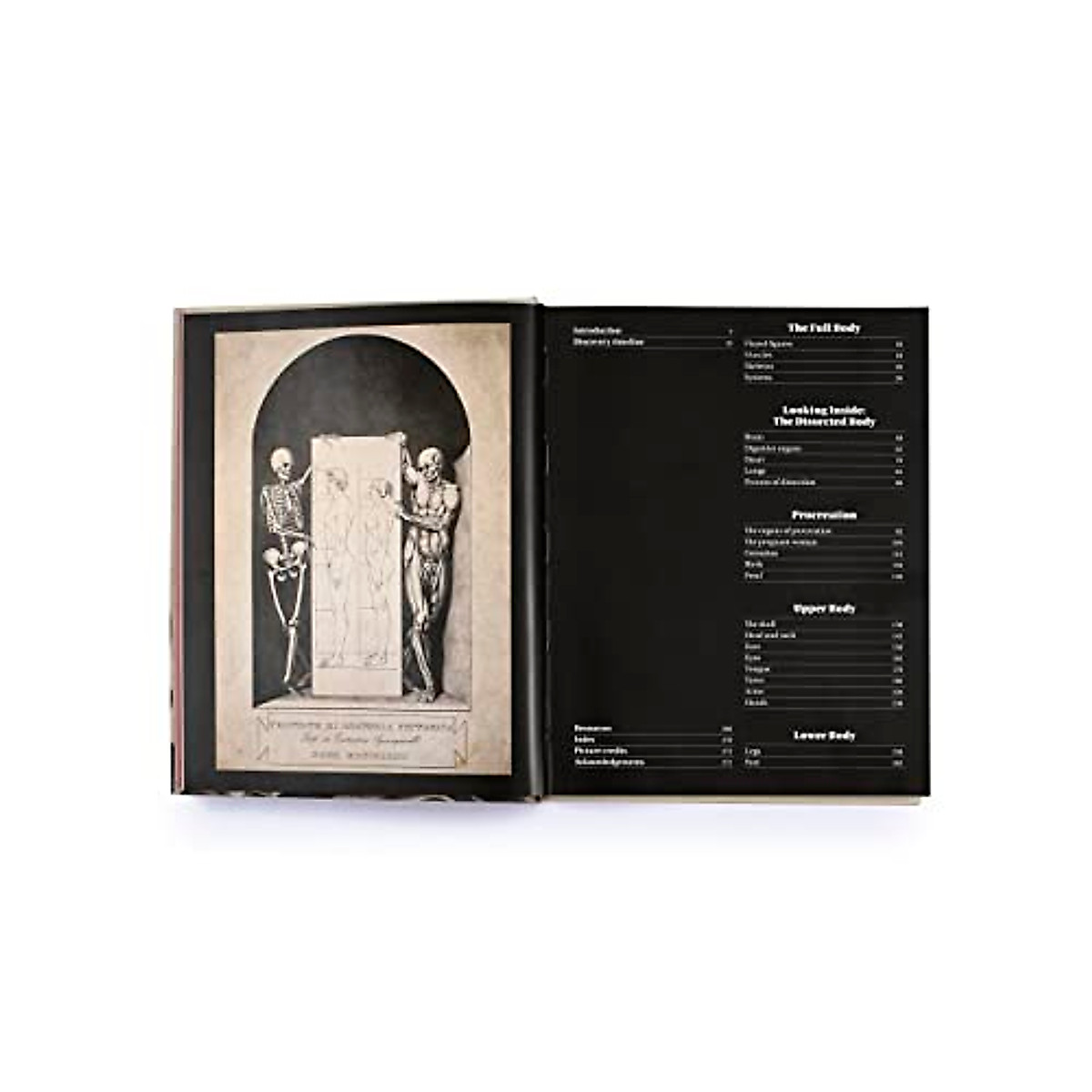 Anatomica: The Exquisite and Unsettling Art of Human Anatomy