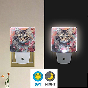 ZENWAWA Painting Longhair Cat Night Light Plug into Wall Decorative Auto Dusk to Dawn Sensor LED Night Lamp 2 Pack 3×4.5×1.4 in