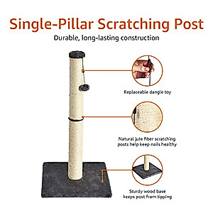 Amazon Basics Cat Scratching Post, Medium, 15.75" x 15.75" x 31.5"H, Grey
