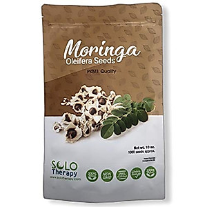 Organic Moringa Seeds | 1000 Seeds Approx.| Premium Quality | PKM1 Variety | Edible | Planting | Moringa Oleifera| Malunggay | Semillas De Moringa | Drumstick Tree | Non-GMO | Product from India