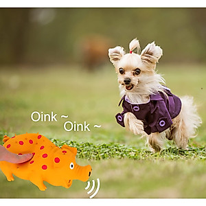 Andiker Dog Squeaky Toy, Dots Latex Dog Chew Toys with a Oinks Sound Squeaker Grunting Pig Dog Toy Sturdy Self Play 8" Dog Squeeze Toy for Dental Biting Chasing to Kill Boring Time (Orange)