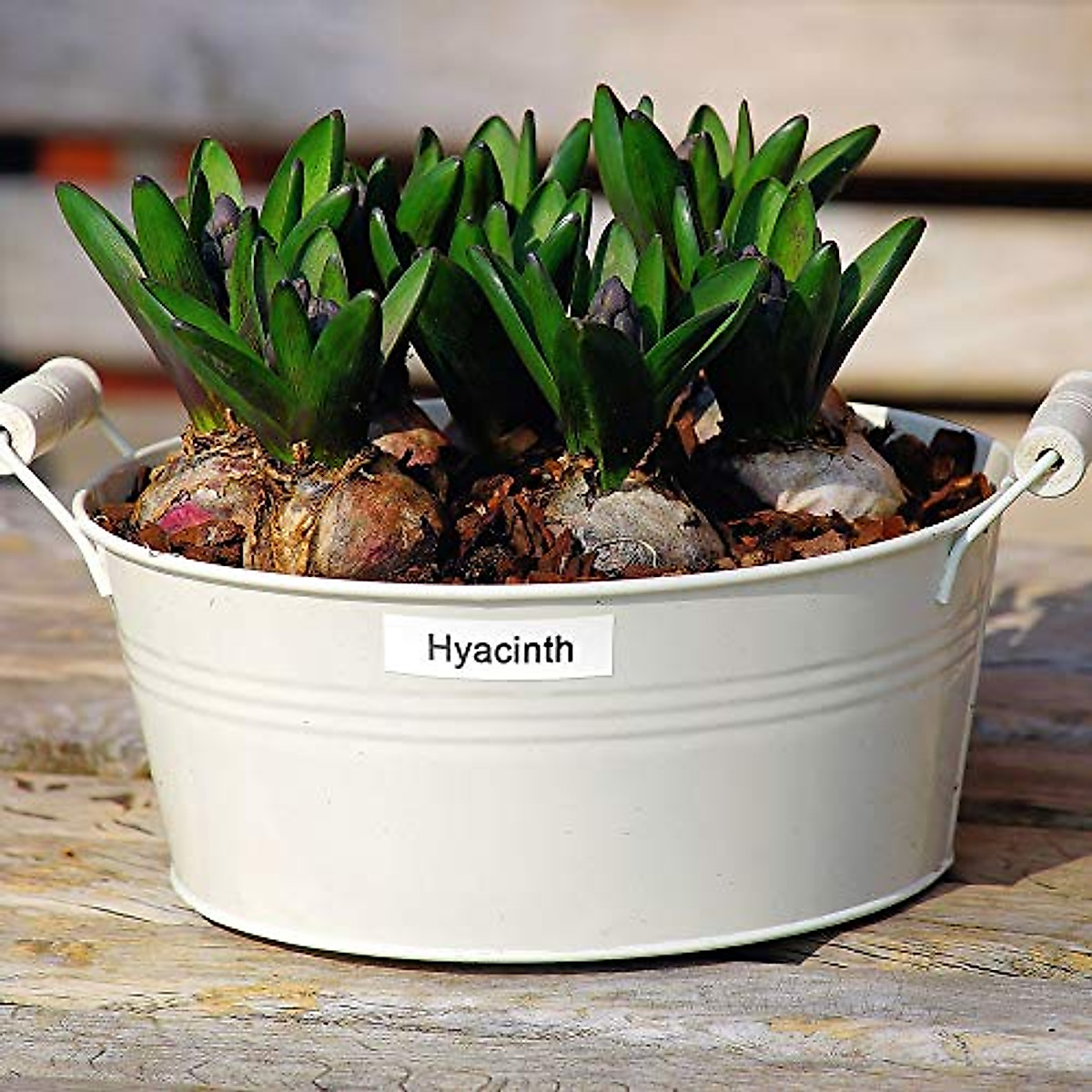 4-Pack, Buyalot Compatible Label Tape Replacement for Brother Ptouch TZe TZ Tape 9mm 0.35" Laminated White Label Maker Tape TZe-221 TZ221 for PT-D200 PTD400, PTD400AD, PTD600, PTH100, 26.2 Feet (8M)