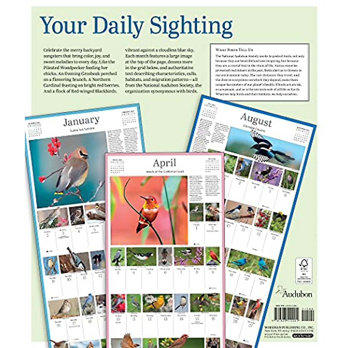 Audubon Songbirds and Other Backyard Birds Picture-A-Day Wall Calendar 2022: Your Daily Sighting of Songsters that Bring Color, Joy, and Sweet Melodies.