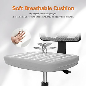 NEWBULIG Ergonomic Armless Home Office Desk Chair with Lumbar Support for Space Swivel 360° Wheels Adjustable Lever Rolling for Tiny Apartment,Conference Room, Grey
