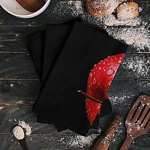 Gredice Red Apples with Water Drops Kitchen Cloth Dish Towel 18x28in Pack of 4,Super Soft Absorbent Tea Towels Hand Towel Close-up Fruit Art on Black Cleaning Dish Cloths for Drying Dishes