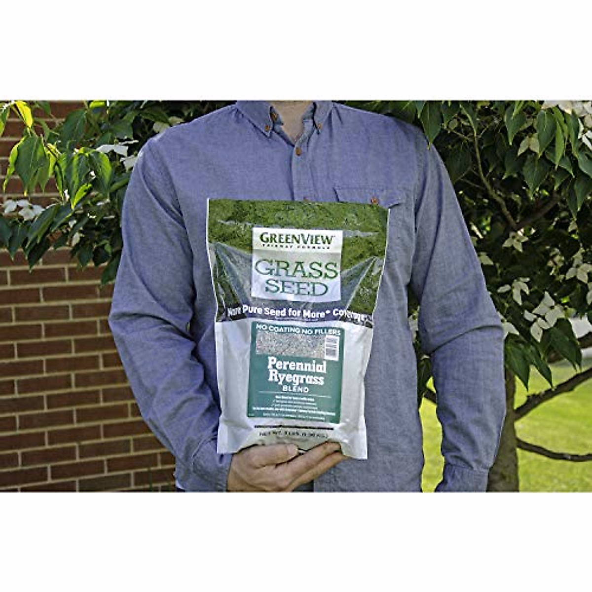 Greenview Fairway Formula Grass Seed Perennial Ryegrass Blend - 3 lb. Bag