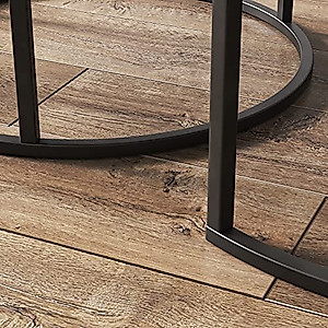 Nathan James Stella Round Modern Nesting Coffee Set of 2, Stacking Living Room Accent Tables, Rustic Oak/Gunmetal/Clear Glass