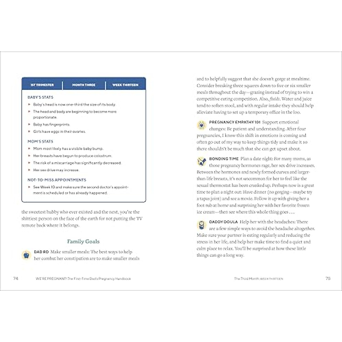 We're Pregnant! The First Time Dad's Pregnancy Handbook