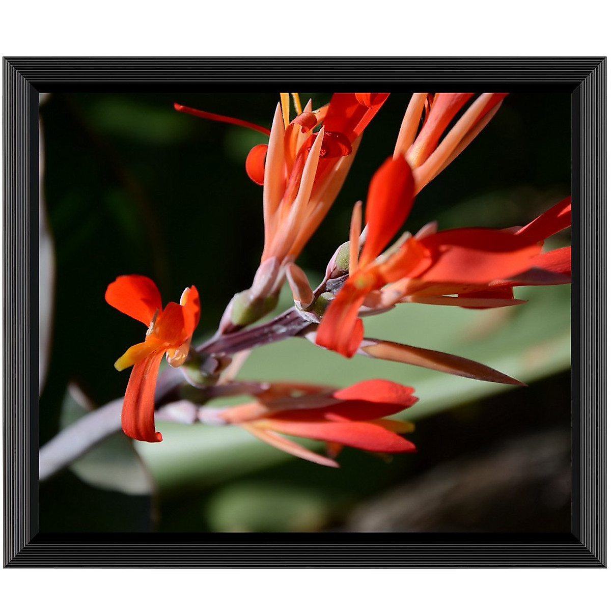 Uzifa 11x14 Picture Frame Photo Poster Frame Picture Frames 11x14- Safety high transparent PC sheet NON GLASS without Mat for Display Certificate as Wall Mount Frame V21114G – BLACK