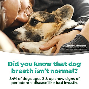 TropiClean Fresh Breath for Puppy Breath | Breath Freshener | Puppy Dental Care Made Easy | Puppy Mouthwash | Made in the USA | 16 oz.