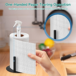 Ceuku Paper Towel Holder Countertop with Spray Bottle Paper Towel Stand with Weighted Base for Kitchen Bathroom, One-Handed Tear Stainless Steel Paper Towel Holder