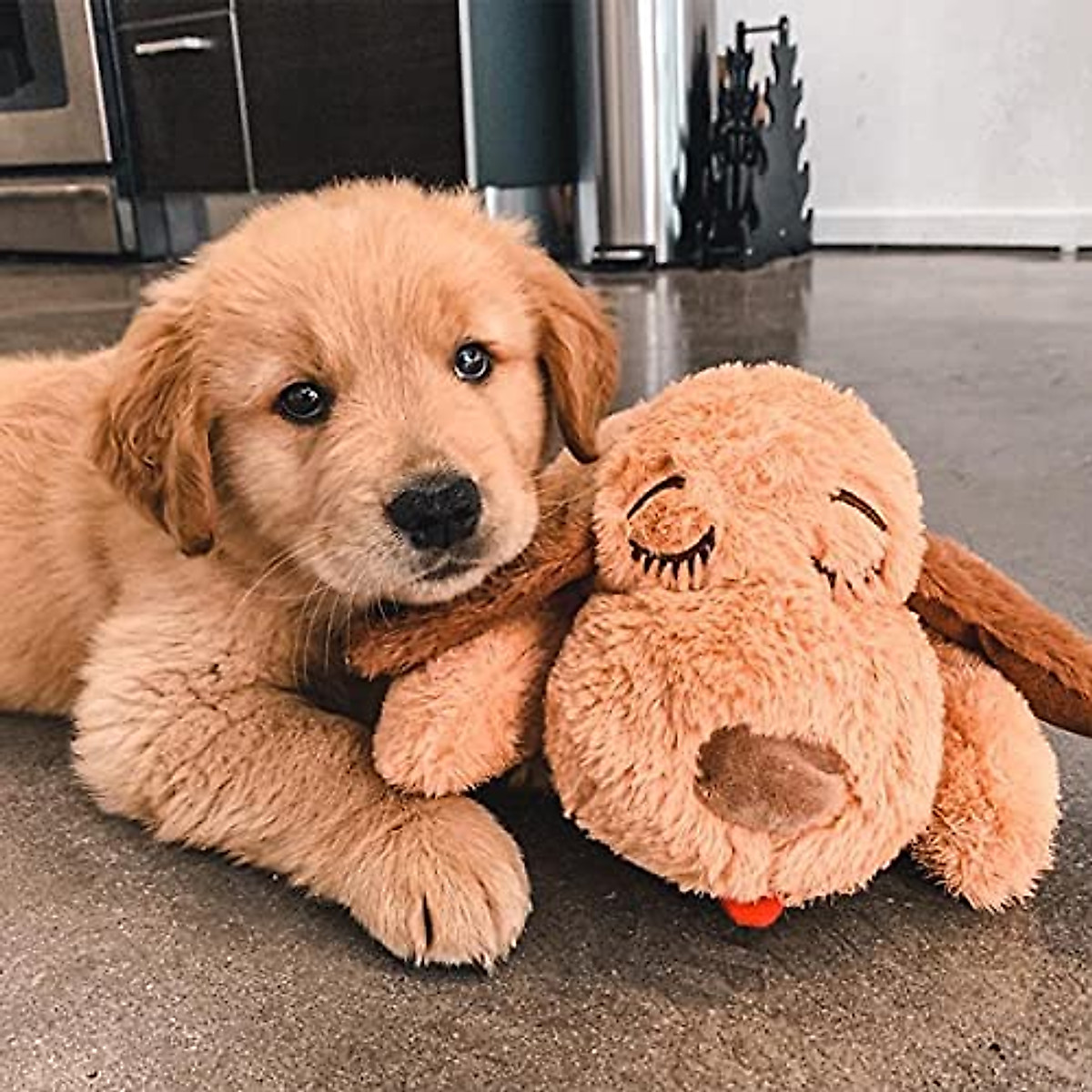 Original Snuggle Puppy Starter Kit with Snuggle Puppy Included. Starter Kit for Anxiety Relief and Calming Aid. Biscuit Coloured Puppy Included and Neutral Toy.