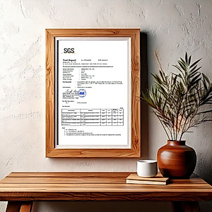 Nenesupply Duckbill Valves Compatible with Spectra Pump Parts Compatible with Spectra S2 S1 9 Plus Breast Pump Replace Spectra Valves and Spectra S2 Accessories